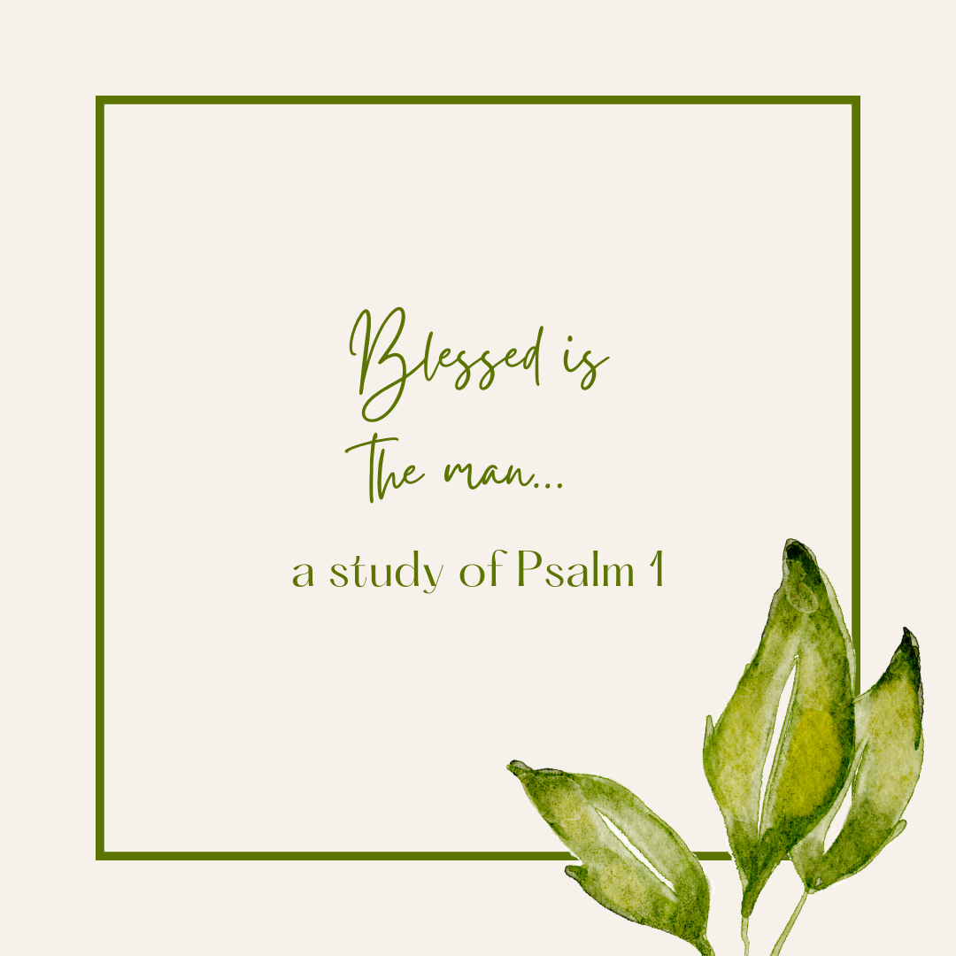 Blessed is the man… – Wisdom:Better Than Rubies